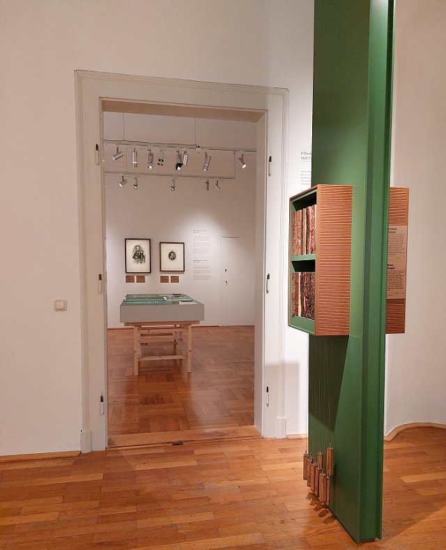 Plant Fever. Towards a Phyto-centred design at Schloss Pillnitz ...