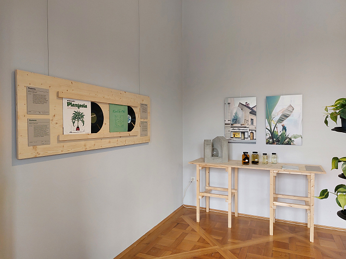 Plant Fever. Towards a Phyto-centred design at Schloss Pillnitz ...