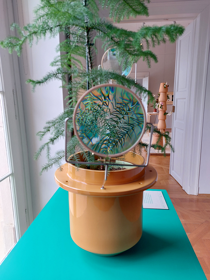 Plant Fever. Towards a Phyto-centred design at Schloss Pillnitz ...