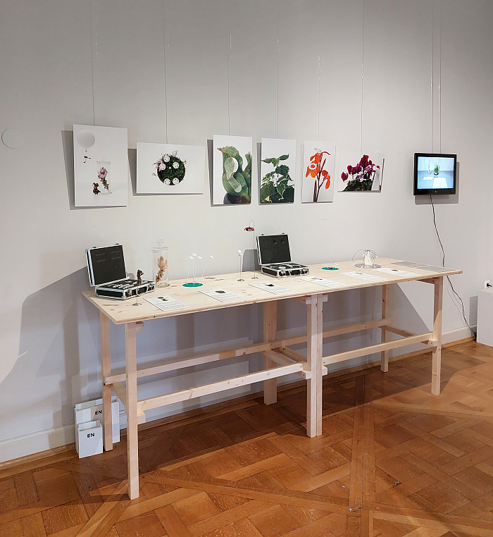 Plant Fever. Towards a Phyto-centred design at Schloss Pillnitz ...