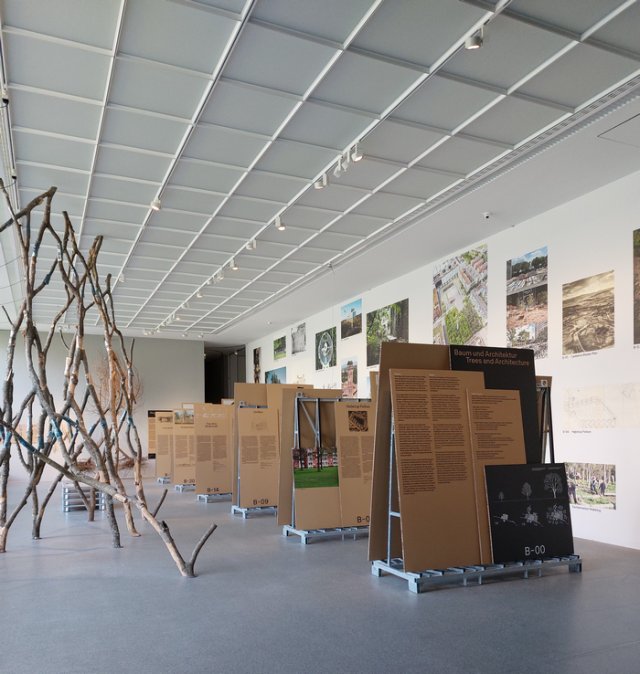 Trees, Time, Architecture. Design in Constant Transformation at the ...